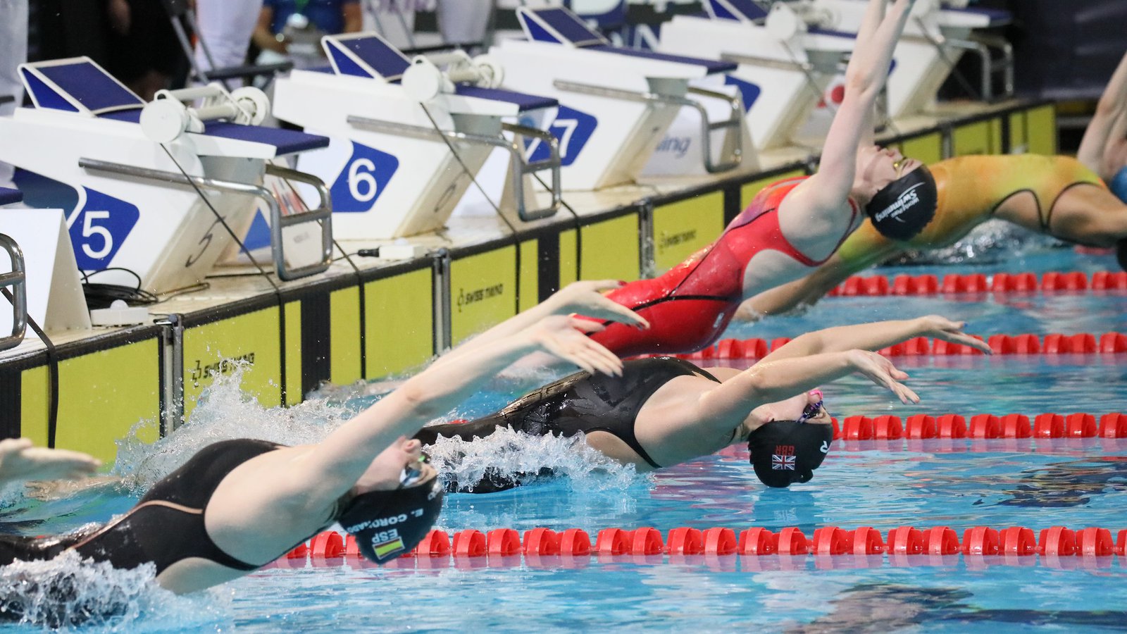 Back-to-back golds for flying Applegate | Para-Swimming News | British ...