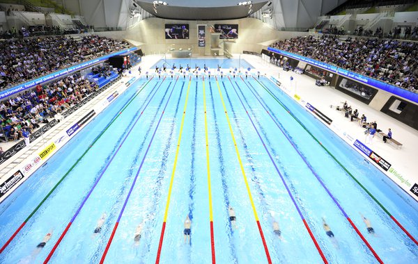 New FINA Committees announced | General News | British Swimming