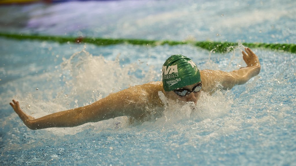 British Para-Swimmers on record-breaking form in Berlin | British Swimming