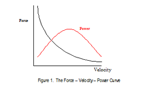 Strength and Conditioning | Para-Swimming | British Swimming
