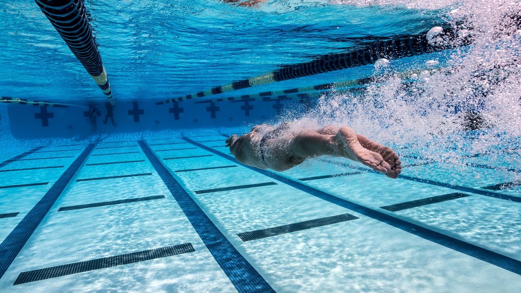 Live stream confirmed for Swimming Champs | Swimming News | British ...